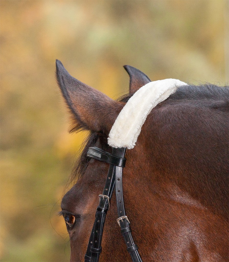 Nasalina paranaso/ Sovracapo – Shop del Cavallo